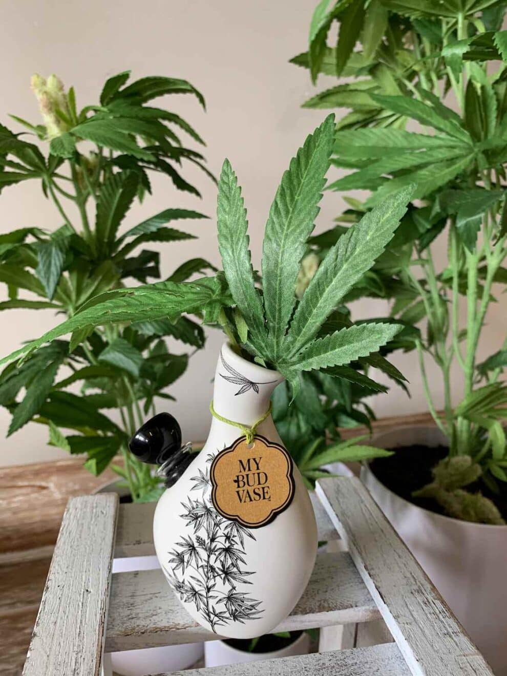 Love Bud Vase by My Bud Vase - Blazy Susan | Denver, CO | Premium ...